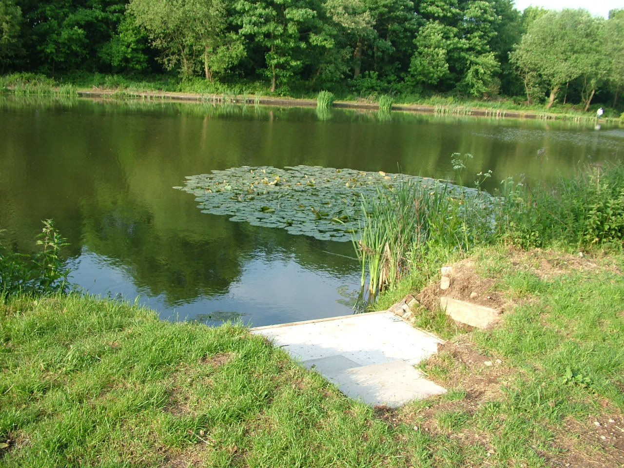 View Bramley Pond | The Sheffield Piscatorial Society